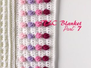 TLC Blanket – Part 7 – It's all in a Nutshell Crochet